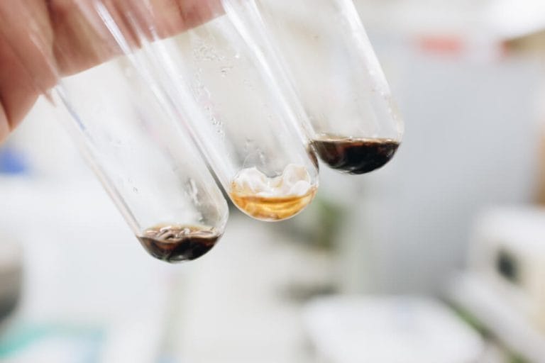 What is Bioremediation? Types and Examples - Spaulding Decon