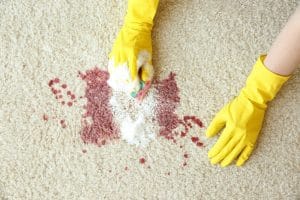 How to Properly Clean Up Blood? 10 Step Procedure - Spaulding Decon