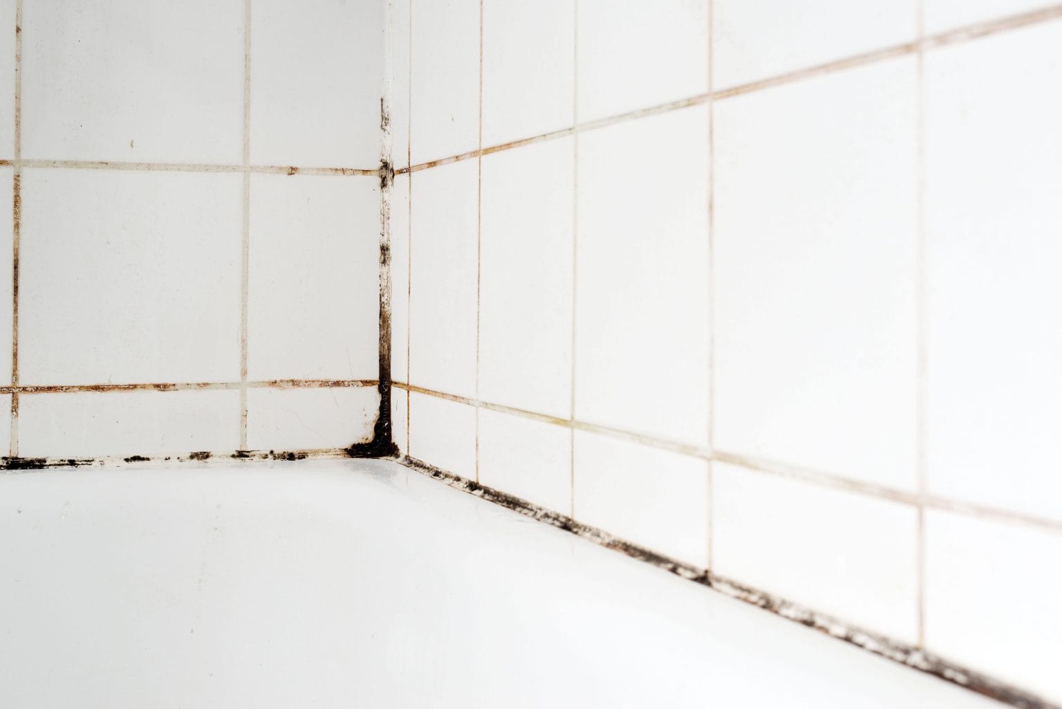 How To Remove (And Prevent) Mold In Bathrooms & Showers - Spaulding Decon